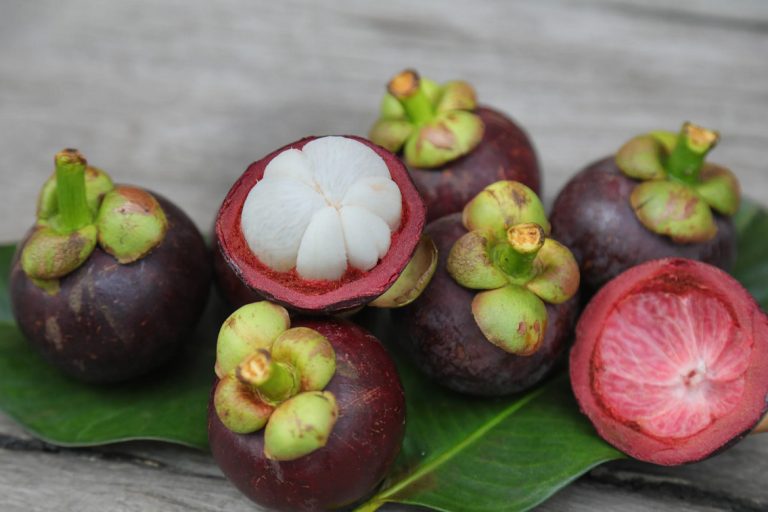 How to Grow Mangosteen from Seed at Home: Tips for Successful ...